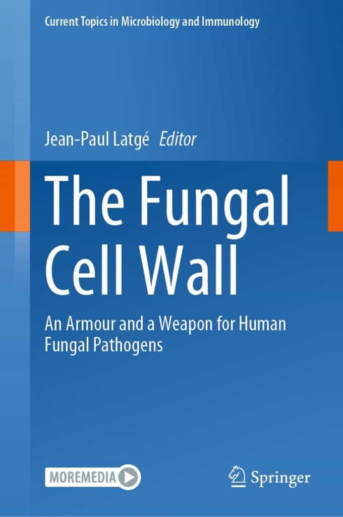 The Fungal Cell Wall: An Armour and a Weapon for Human Fungal Pathogens ...